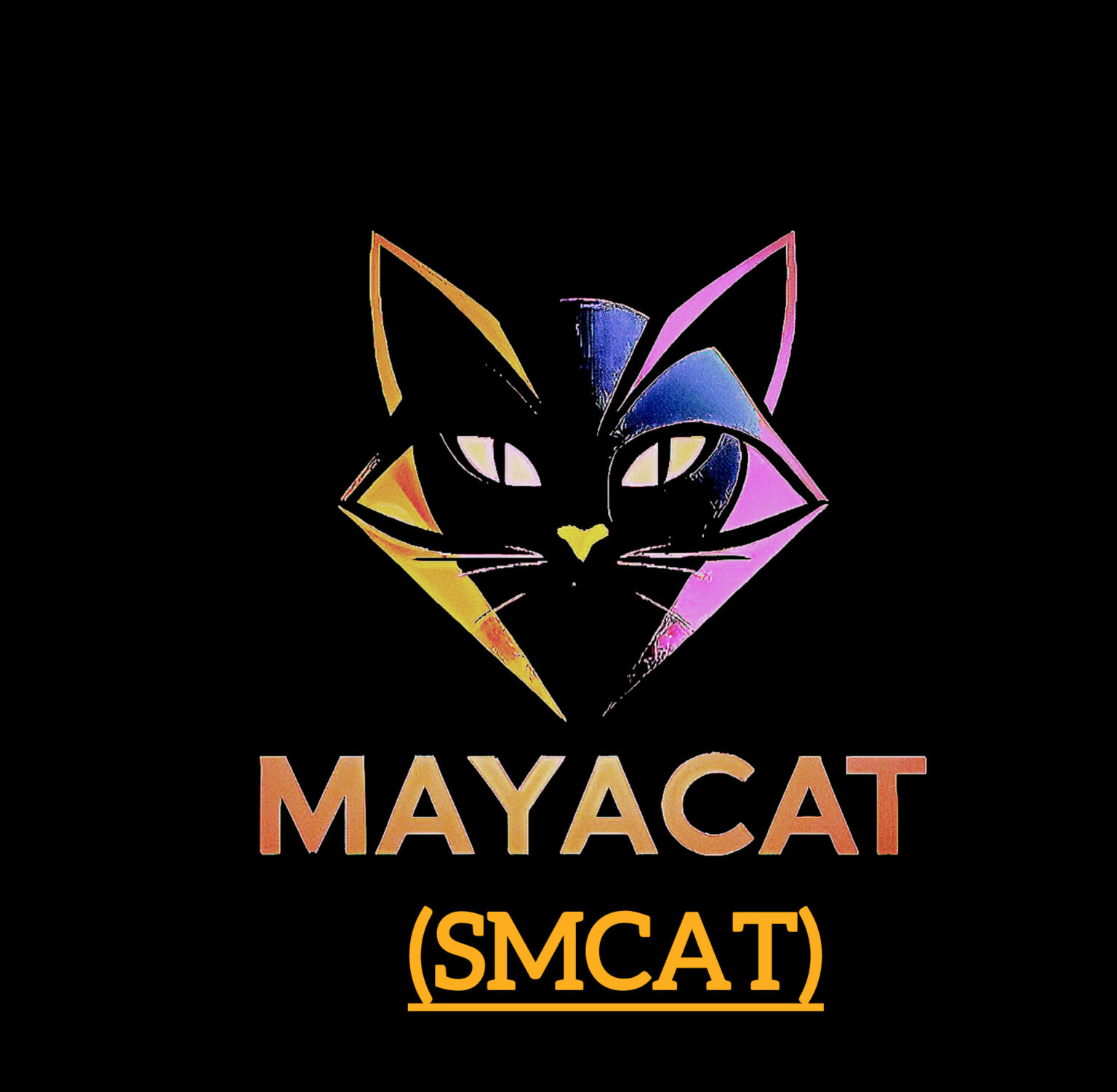 Maya Preferred VP Worked 8 Years Without Salary Building Asset Tokenization